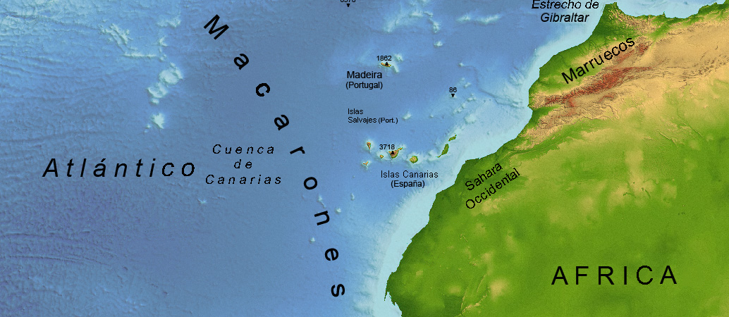 Macaronesia – Maleta Voladora